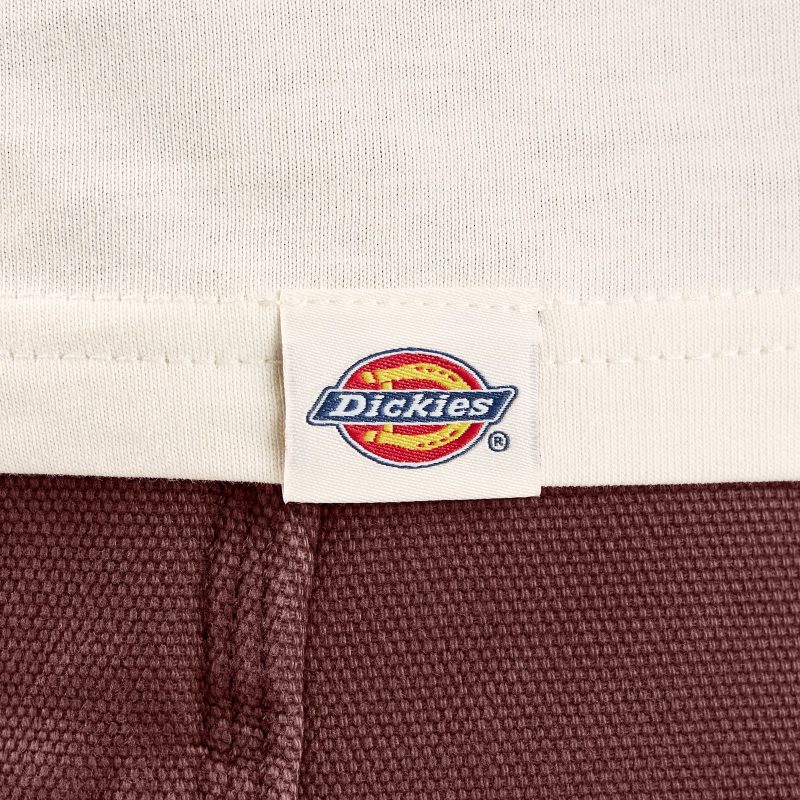 A87QK Bolivar Graphic T-Shirt - Dickies CL